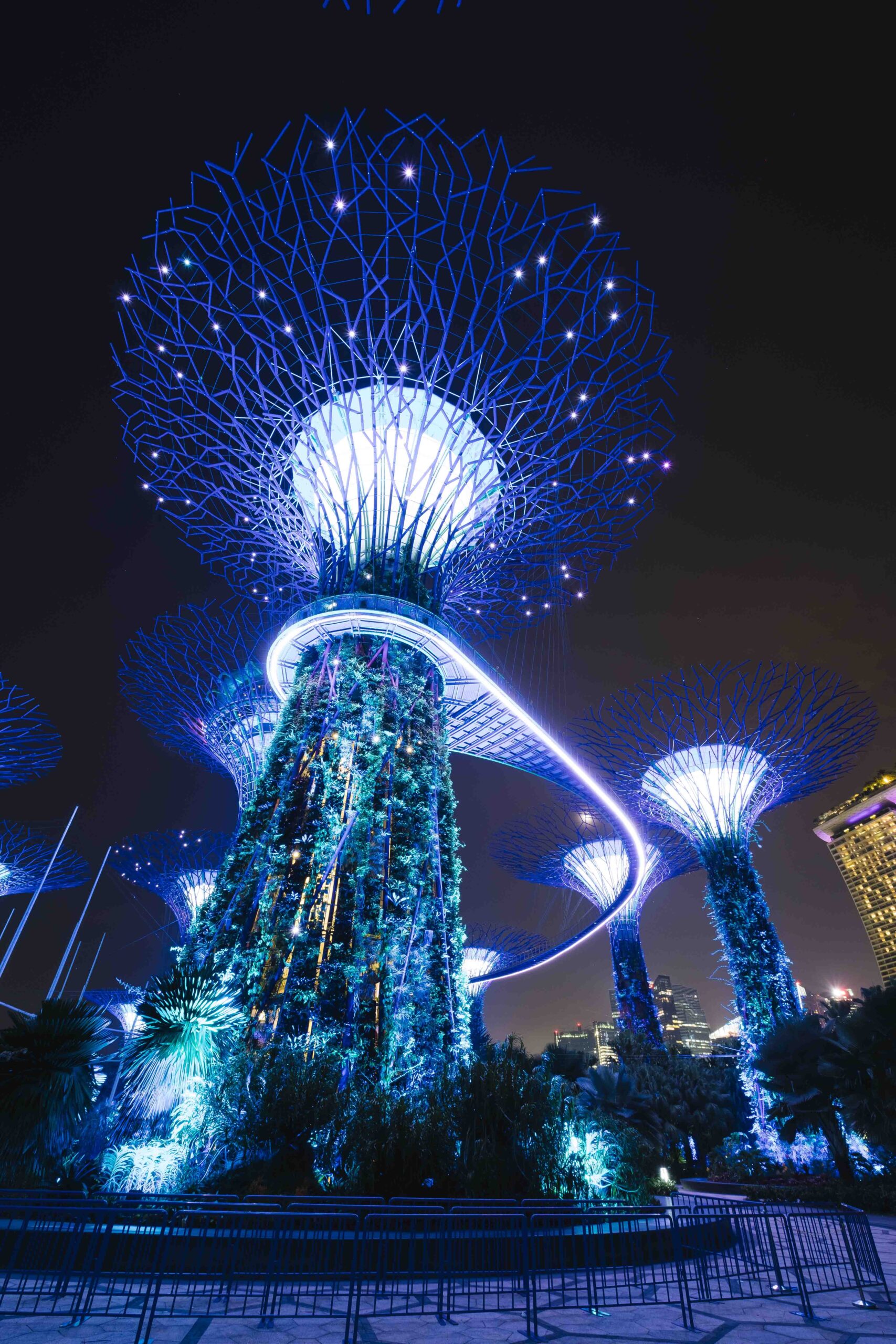 Apply for a license in Singapore - Singapore Company Registration ...